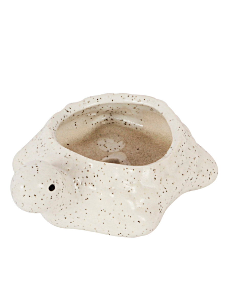 Ceramic mini turtle planter pot – Gaia Pottery In